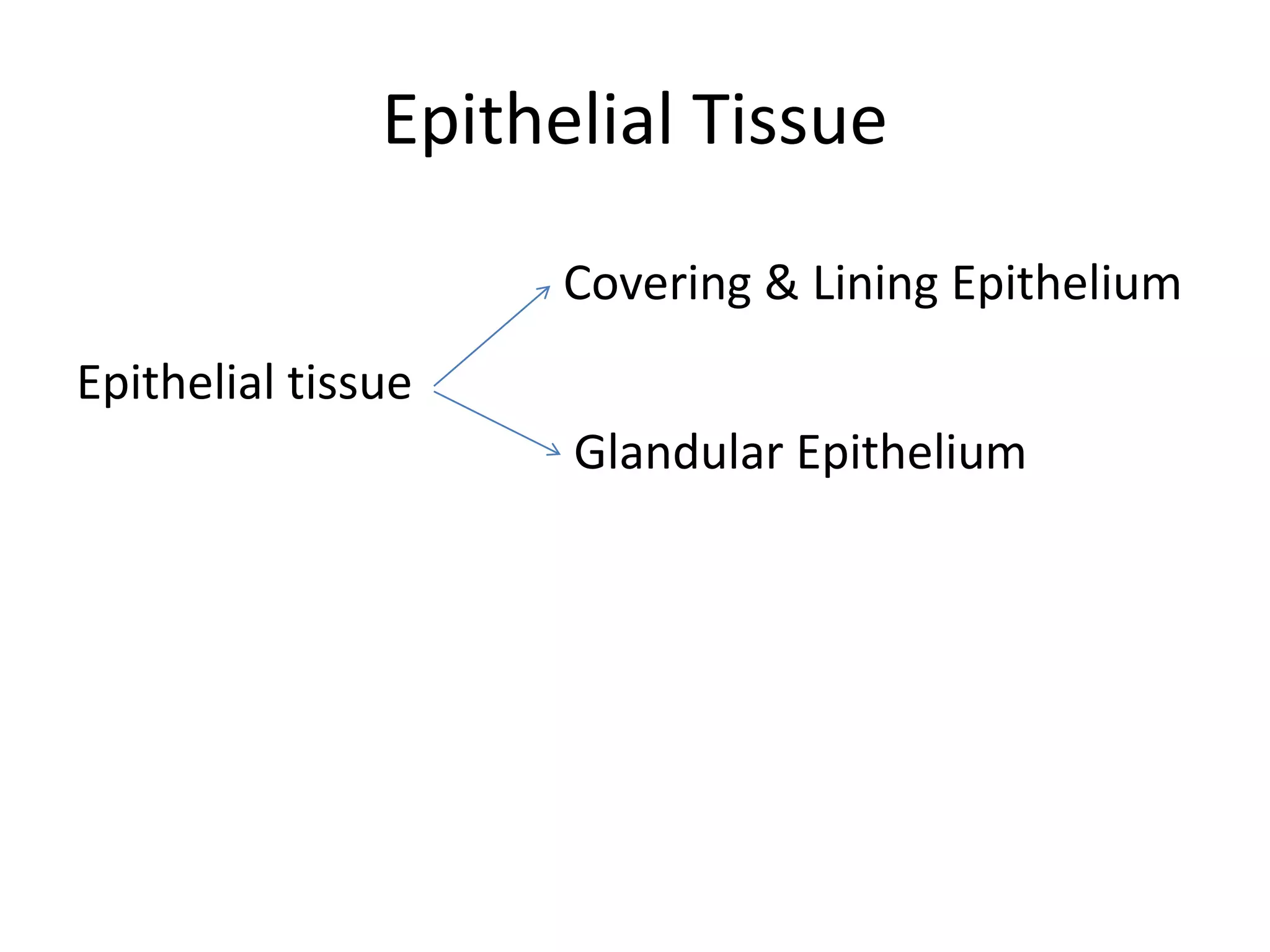 Introduction to Human Body Cellular Level.pdf