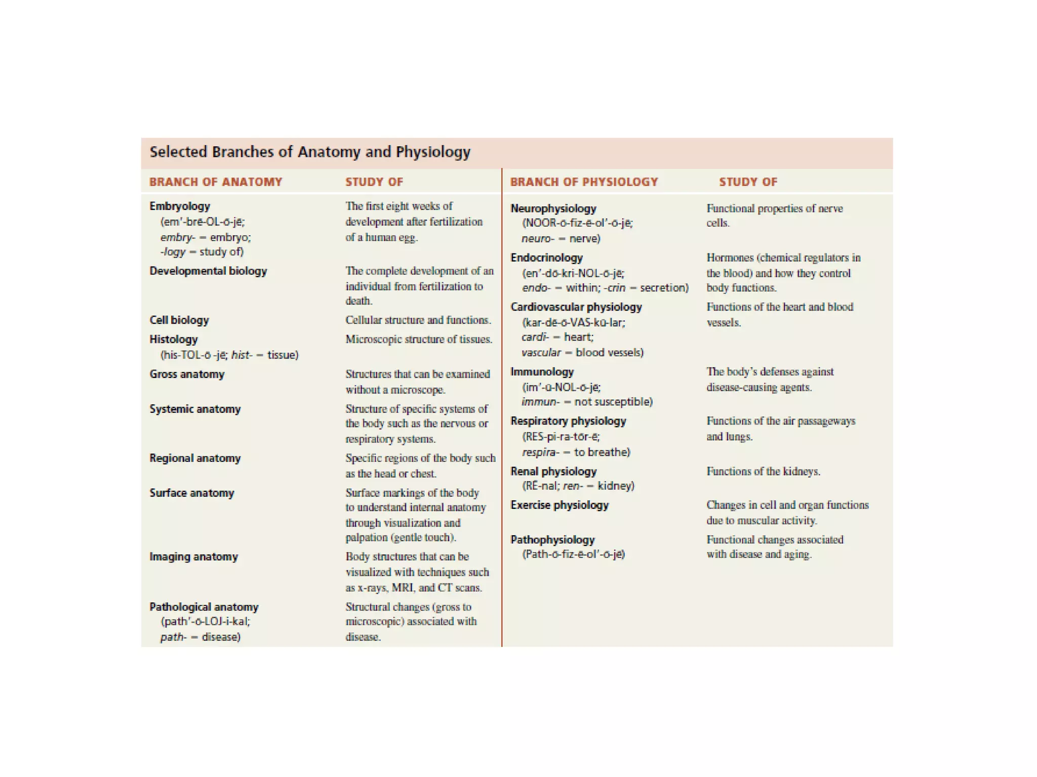Introduction to Human Body Cellular Level.pdf