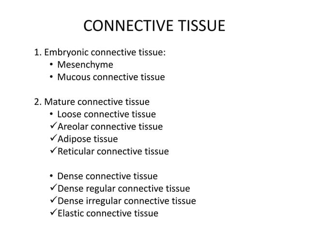 Introduction to Human Body Cellular Level.pdf