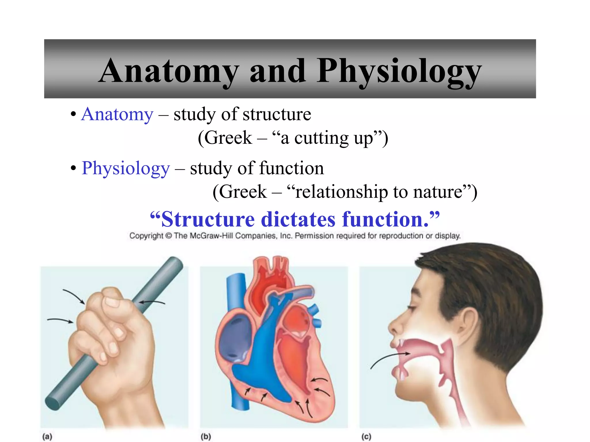 Introduction to human body_RDP.pdf