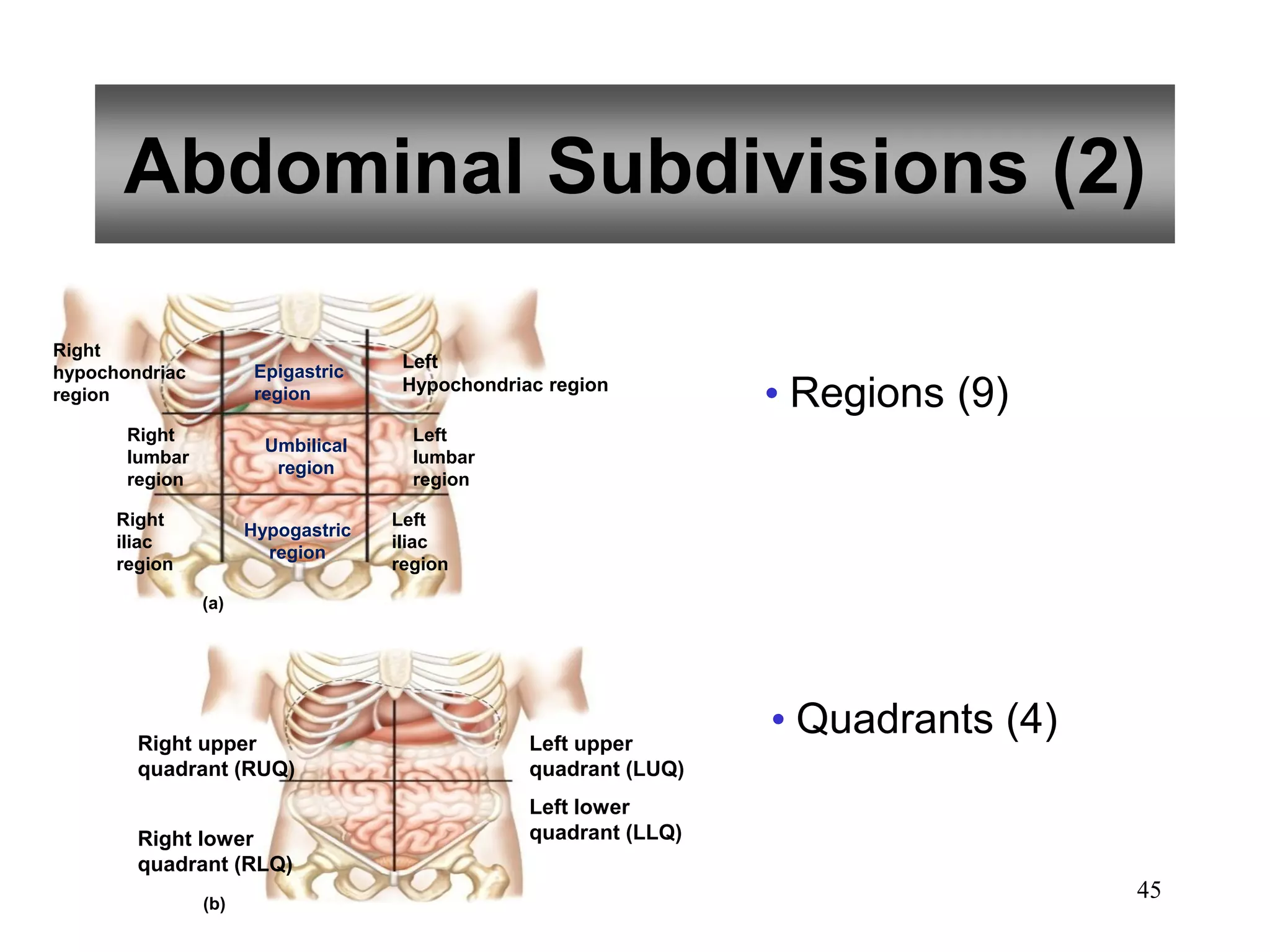 Introduction to human body_RDP.pdf