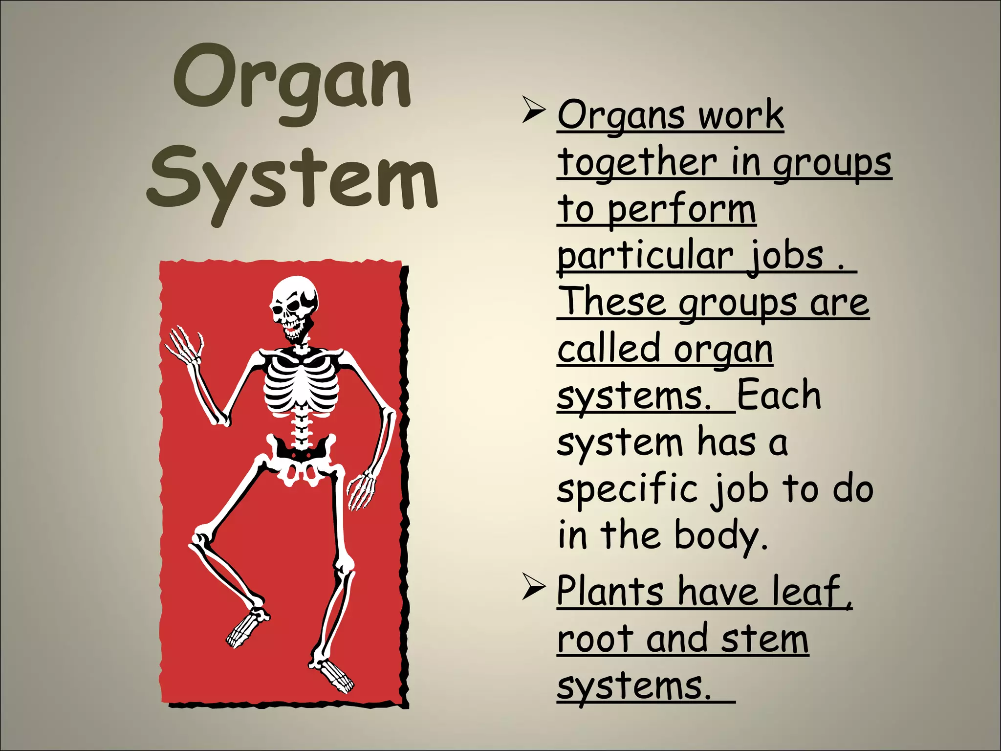 Introduction to Human Body Systems | PPT