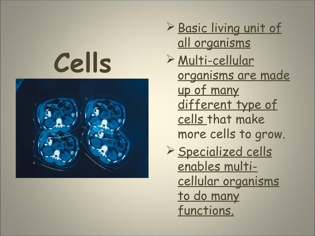 Introduction to Human Body Systems | PPT