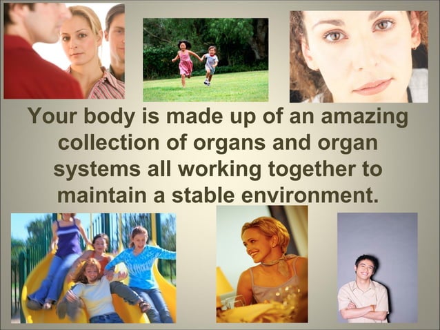 Introduction to Human Body Systems | PPT