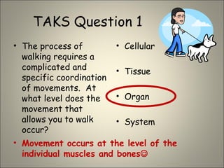 Introduction to Human Body Systems | PPT