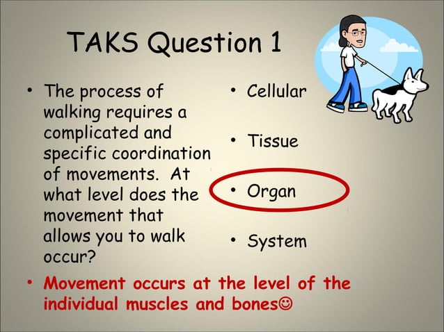 Introduction to Human Body Systems | PPT