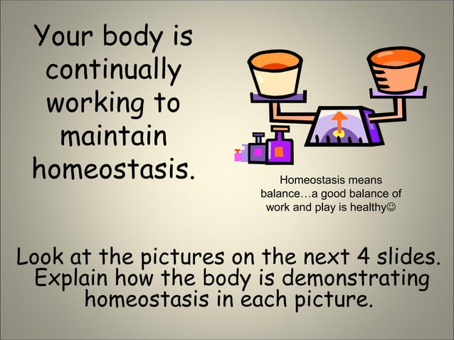 Introduction to Human Body Systems | PPT