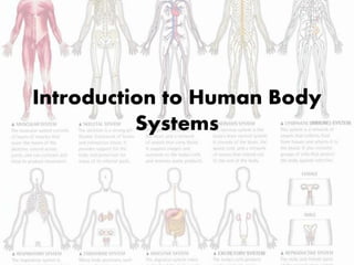 Introduction to human body systems | PPT