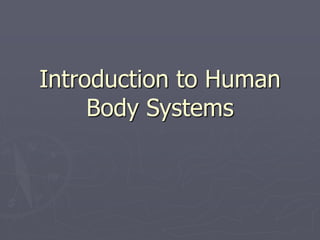 Introduction to Human Body Systems.ppt