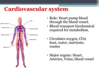 Introduction to Human Body Systems.ppt Unit I | PPT