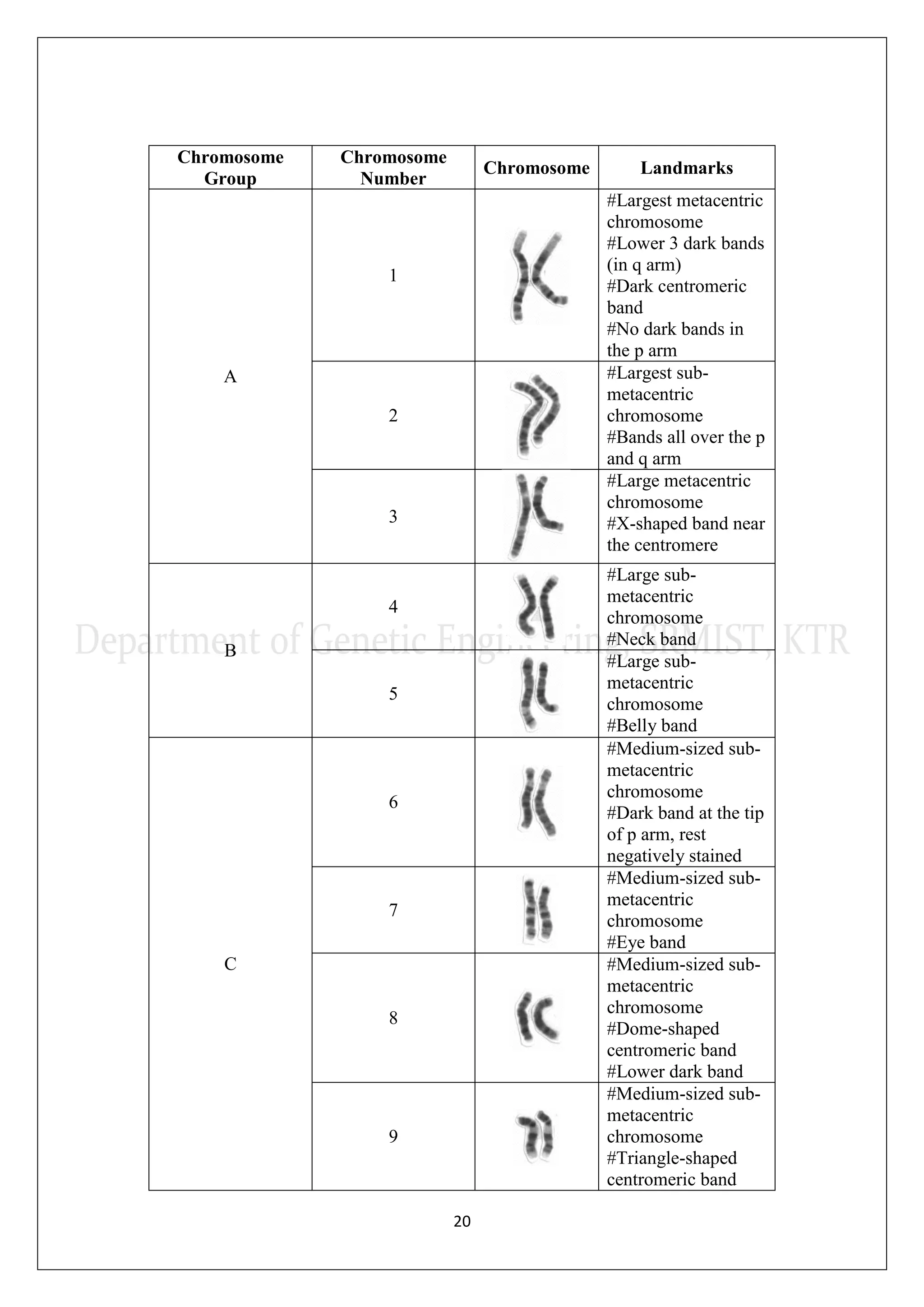 Introduction to HUMAN CHROMOSOME ANALYSIS: Conventional Karyotyping ...