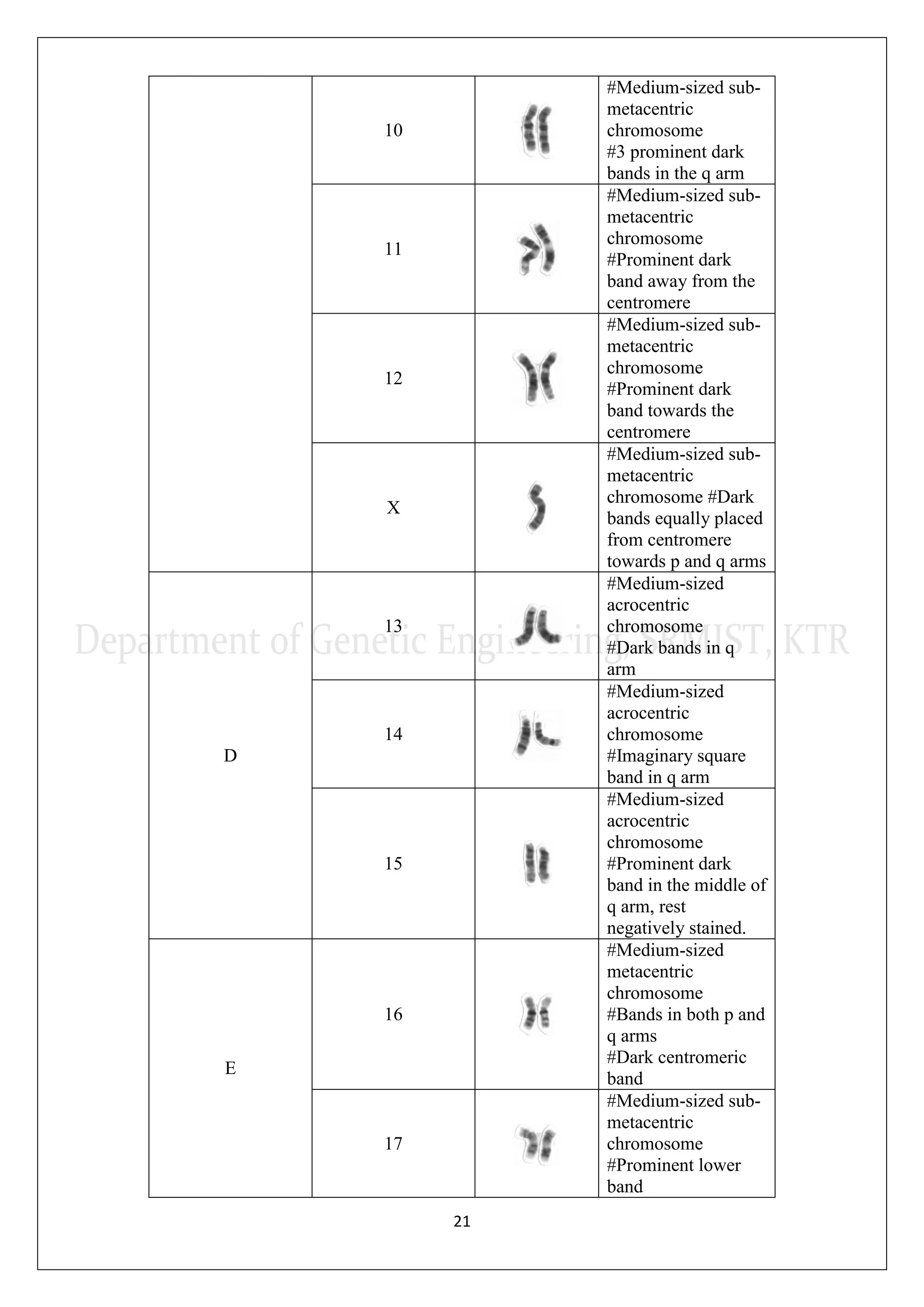 Introduction to HUMAN CHROMOSOME ANALYSIS: Conventional Karyotyping ...