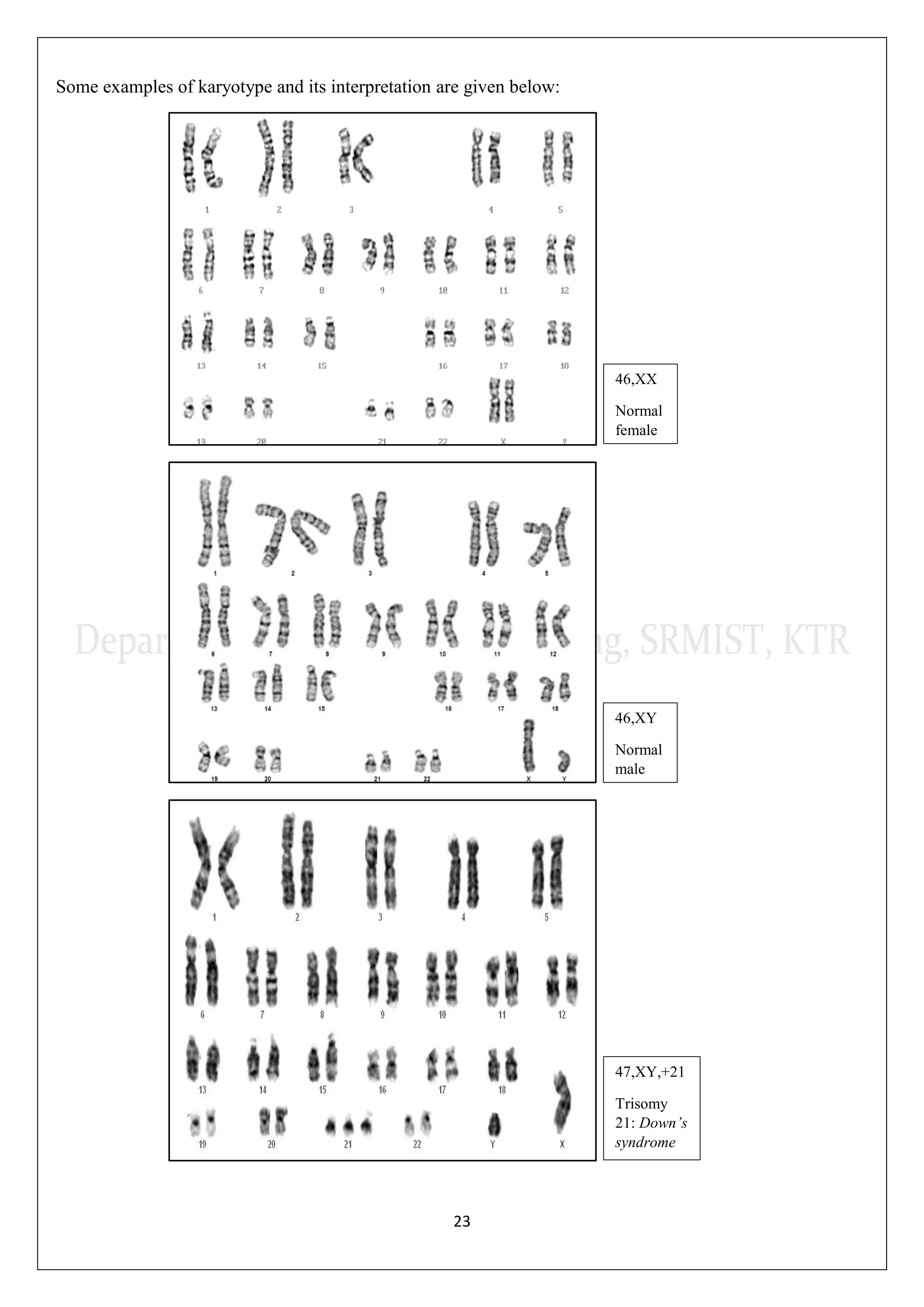 Introduction to HUMAN CHROMOSOME ANALYSIS: Conventional Karyotyping ...