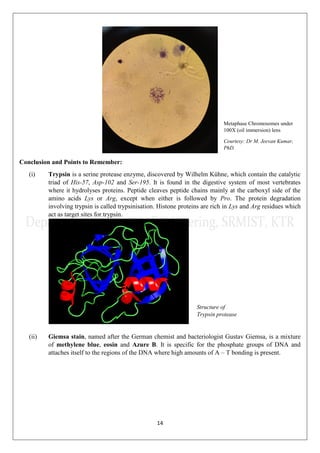 Introduction to HUMAN CHROMOSOME ANALYSIS: Conventional Karyotyping ...