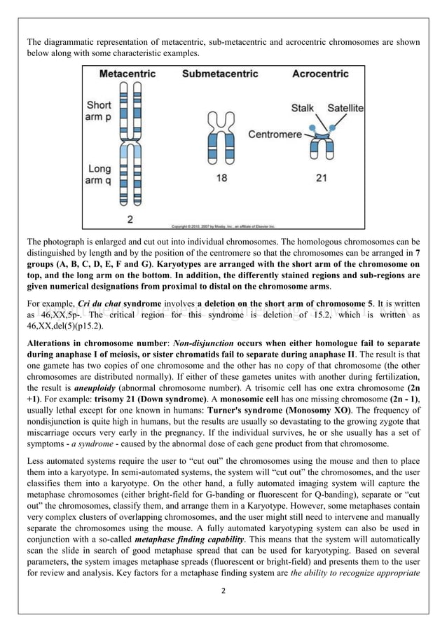 Introduction to HUMAN CHROMOSOME ANALYSIS: Conventional Karyotyping ...