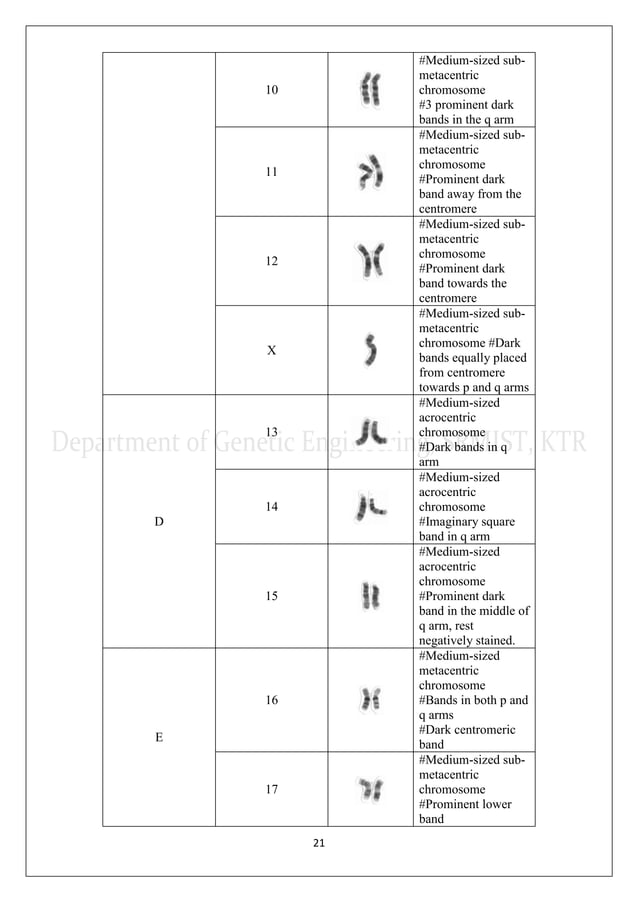 Introduction to HUMAN CHROMOSOME ANALYSIS: Conventional Karyotyping ...