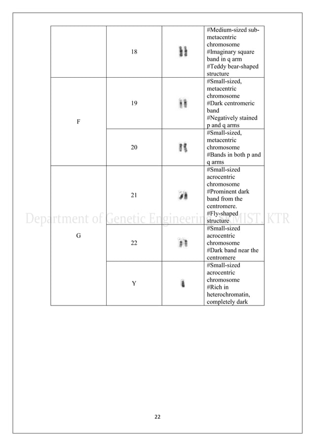 Introduction to HUMAN CHROMOSOME ANALYSIS: Conventional Karyotyping ...