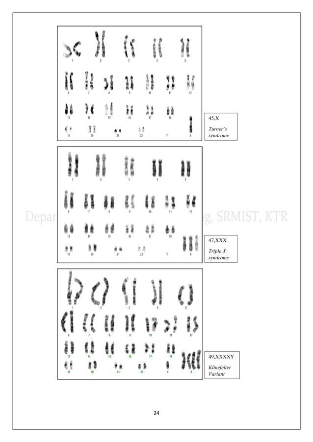 Introduction to HUMAN CHROMOSOME ANALYSIS: Conventional Karyotyping ...