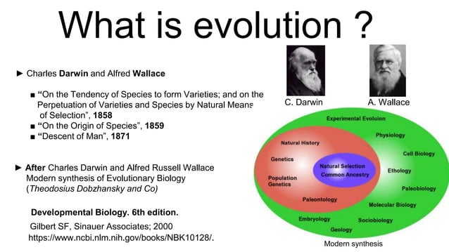 An Introduction to human evolution | PPT