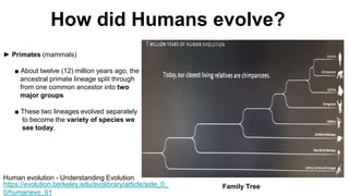 An Introduction to human evolution | PPT