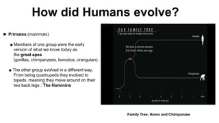 An Introduction to human evolution | PPT