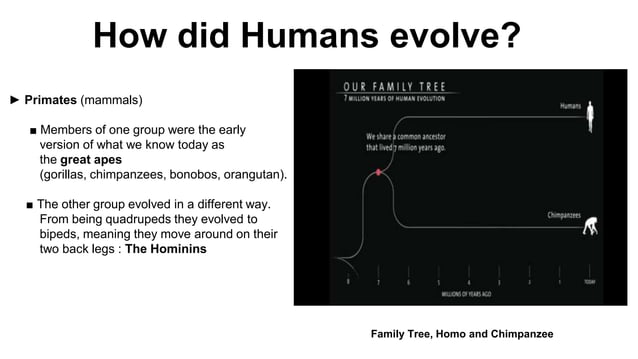 An Introduction to human evolution | PPT