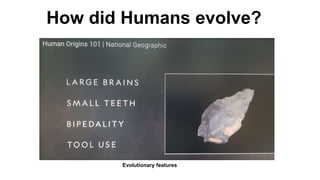 An Introduction to human evolution | PPT