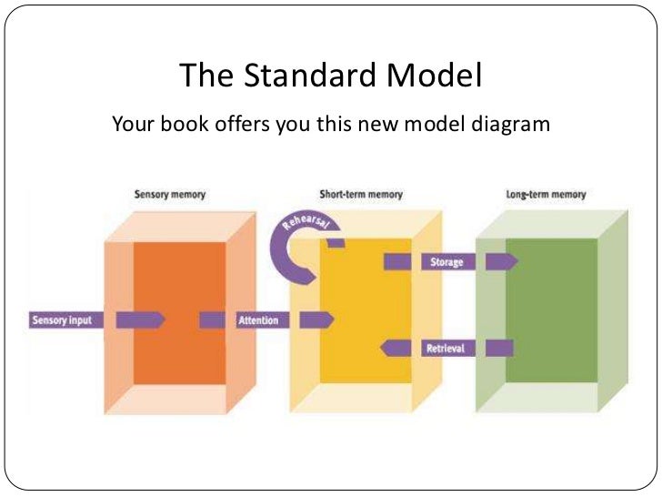 Introduction to human memory
