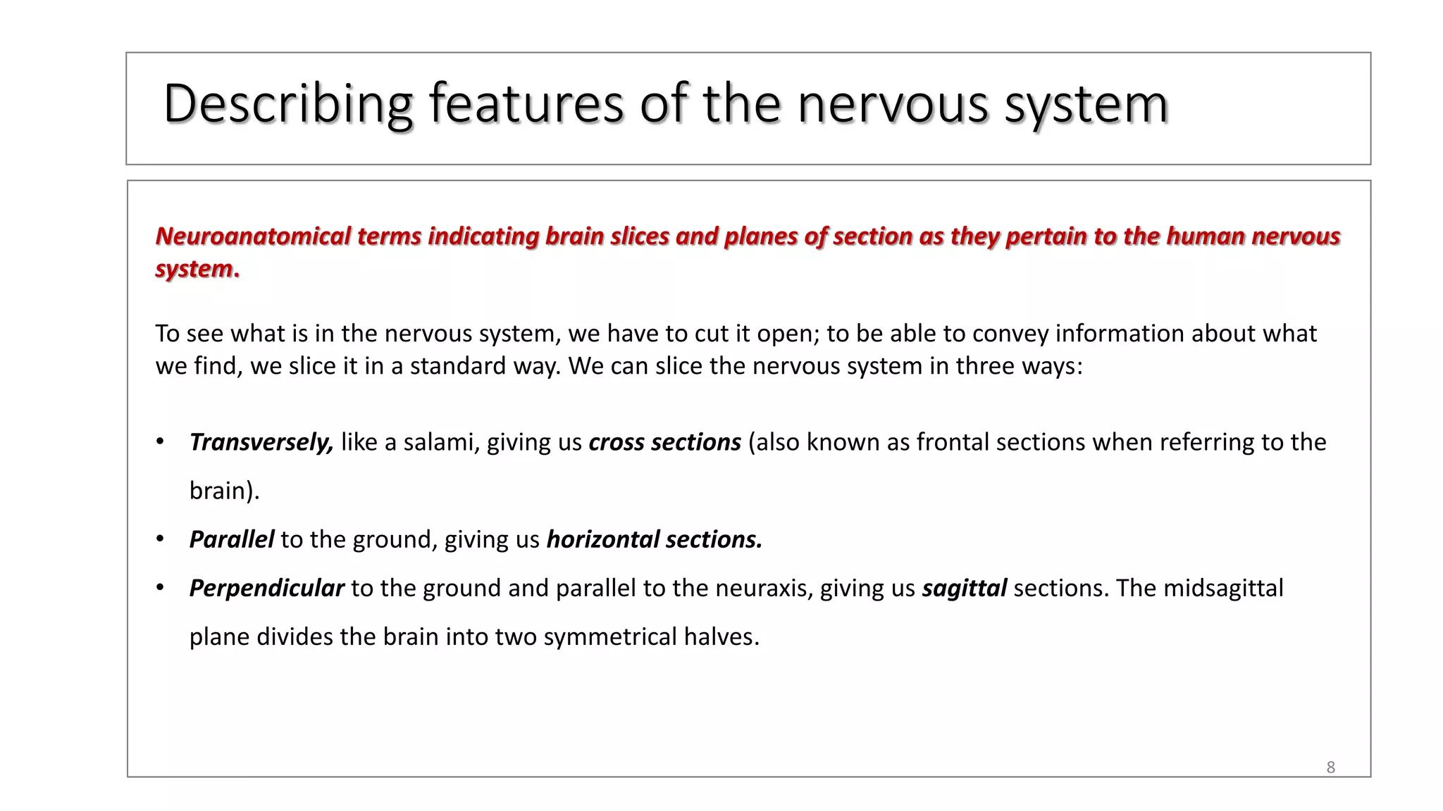 Introduction to Human Nervous System-I.pptx