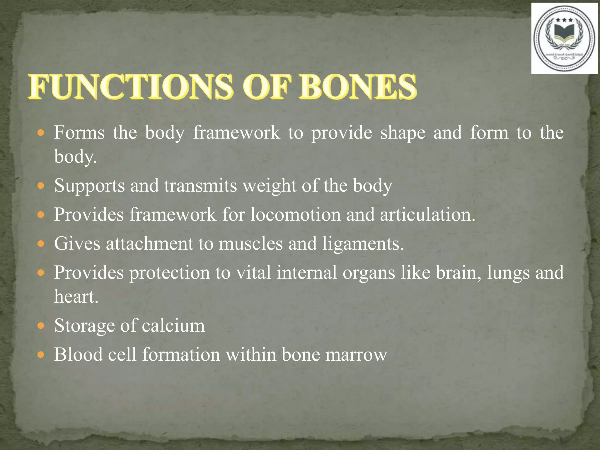 Introduction to Human Osteology Part 1 | PPTX