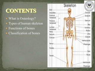 Introduction to Human Osteology Part 1 | PPTX