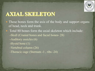 Introduction to Human Osteology Part 1 | PPTX