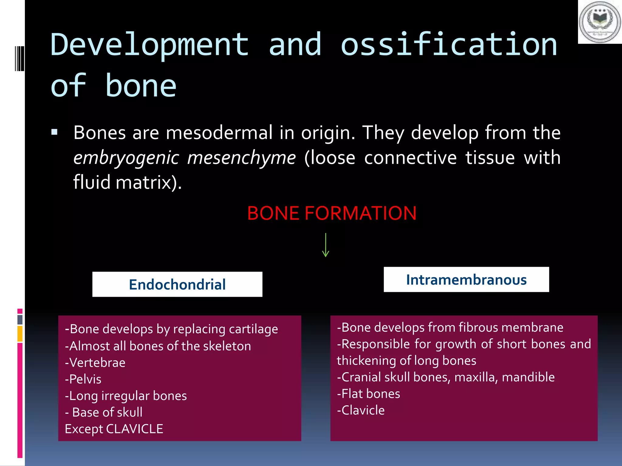 Introduction to Human Osteology Part 2 | PPTX