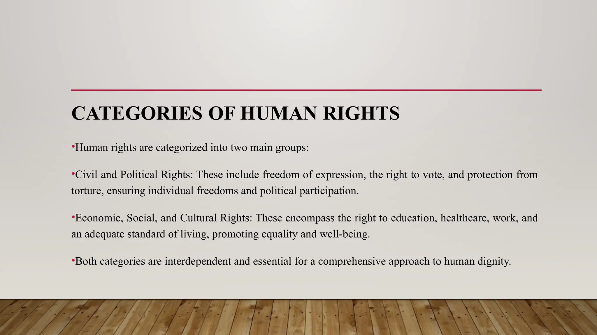 Introduction to human rights and its arguments | PPTX