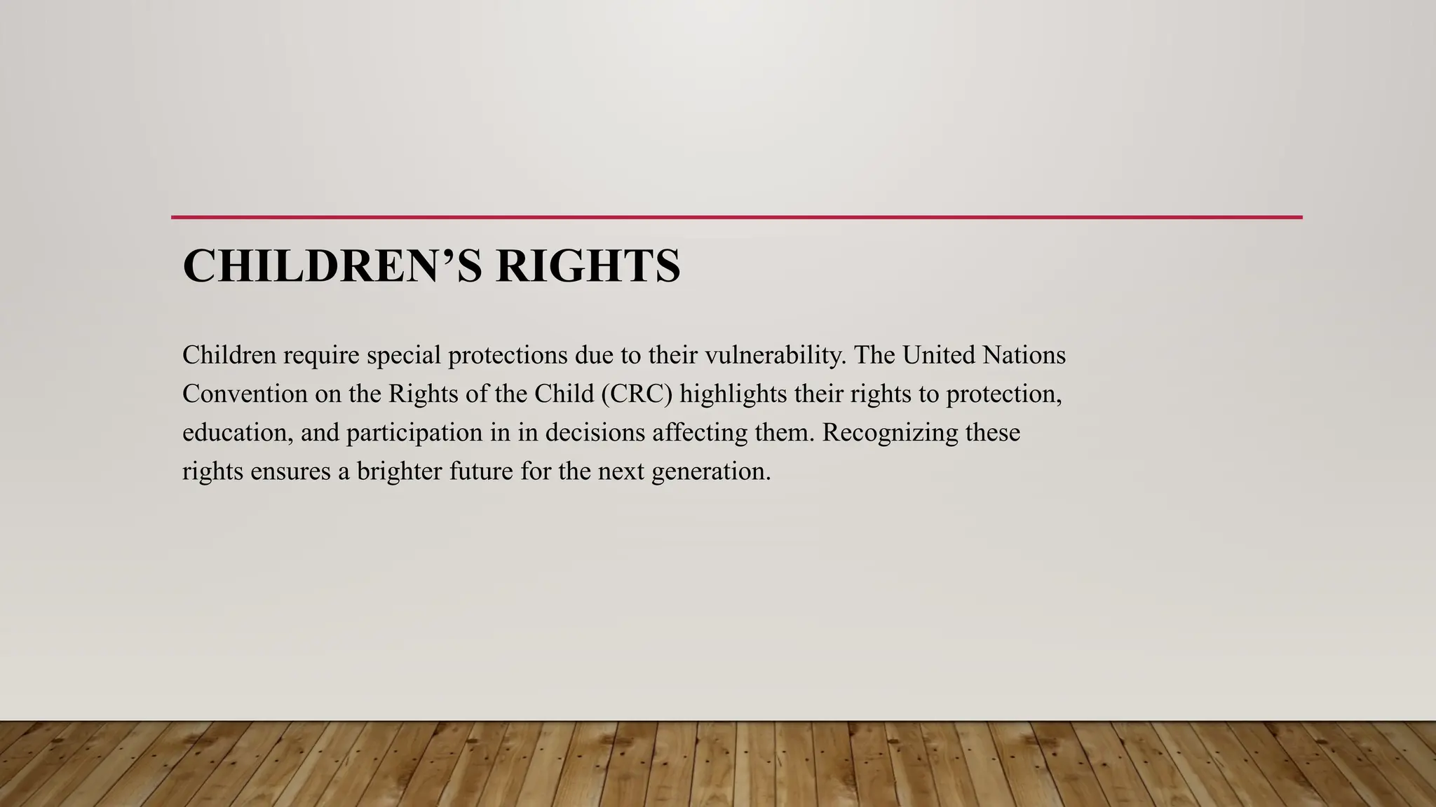 Introduction to human rights and its arguments | PPTX