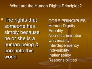 Introduction to human rights (1) | PPT