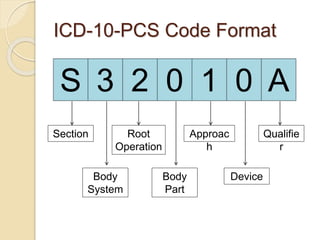 Introduction to ICD-10 4.23.15.ppt | Surgery | Medical Health