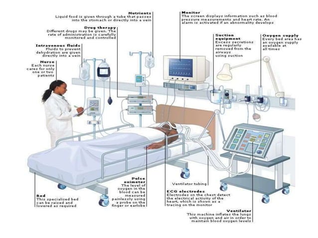 Introduction to icu.pptx | First Aid | Injuries
