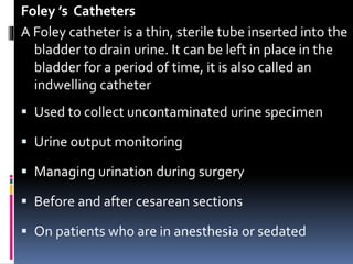 Introduction to ICU Basics in ICU | PPTX