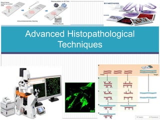 Introduction to IHC | PPT