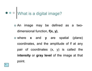 Introduction to image processing | PDF | Photo Editing Software ...