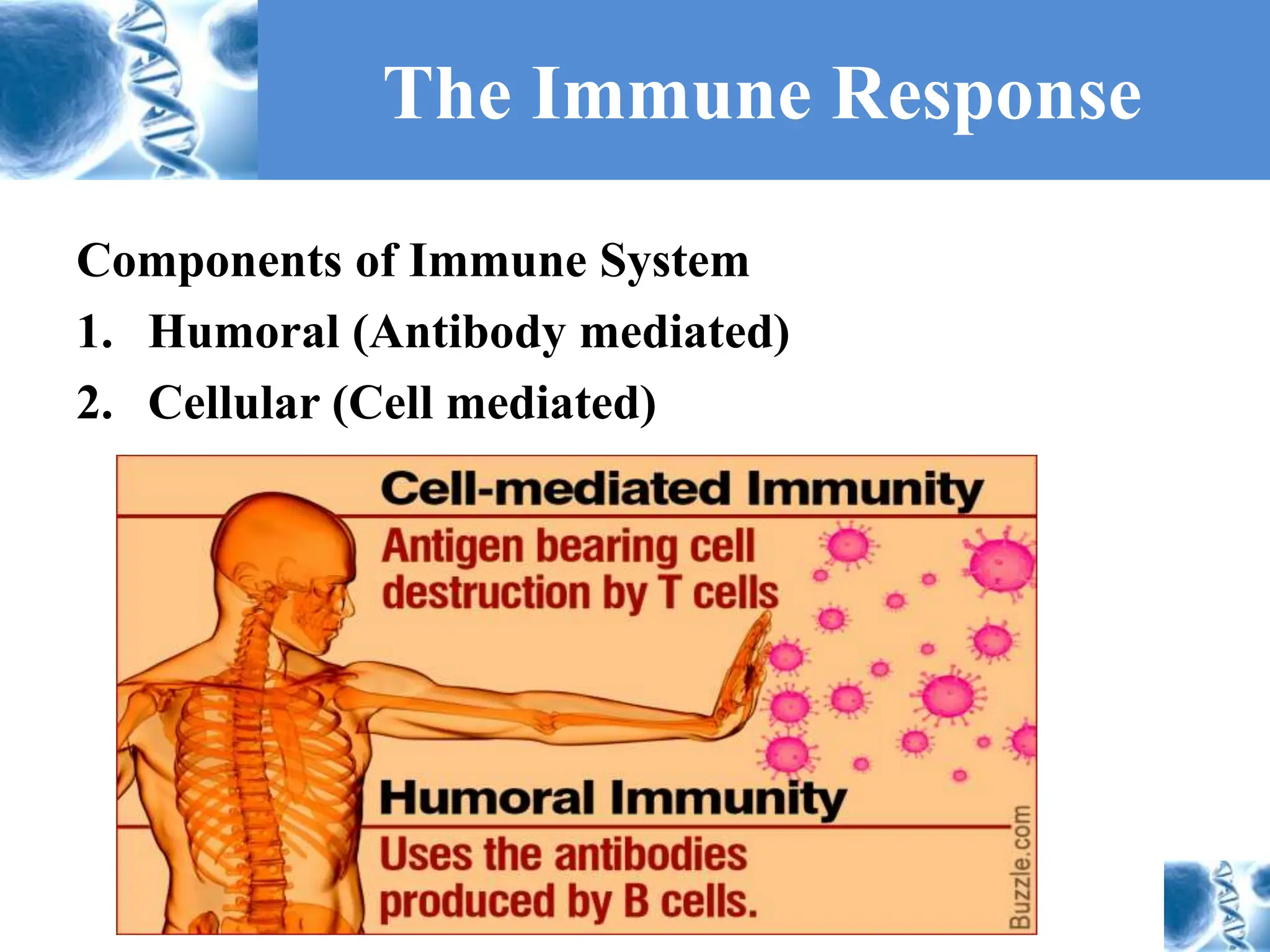 Introduction to immune respose .pptx