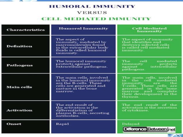 Introduction to immune respose .pptx