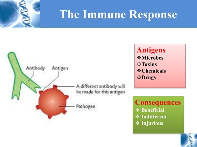 Introduction to immune respose .pptx