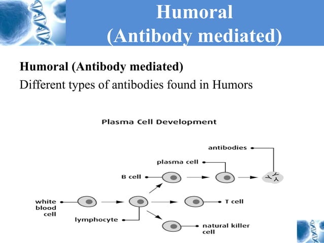 Introduction to immune respose .pptx