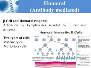 Introduction to immune respose .pptx