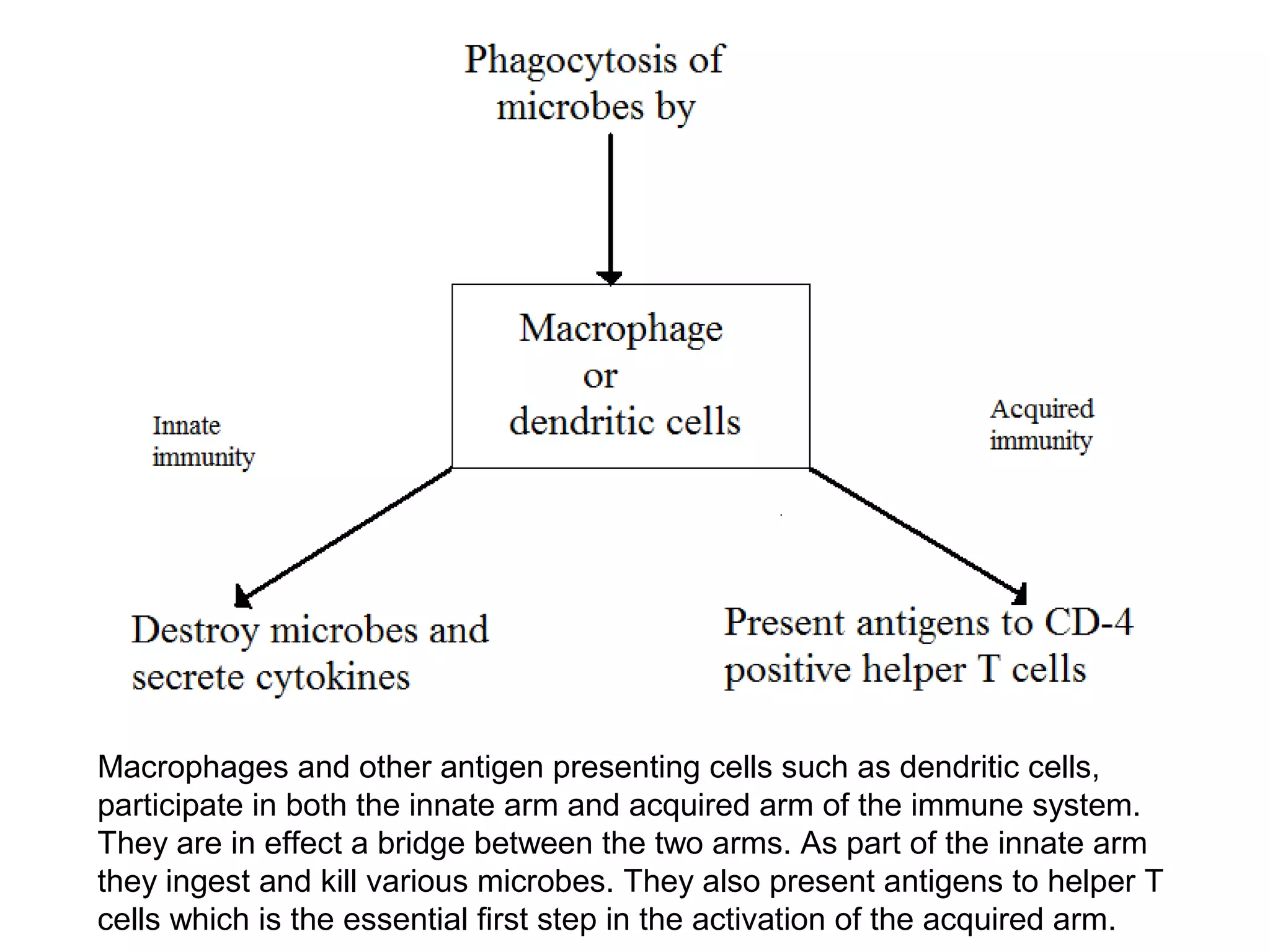 Introduction to immune system | PPT