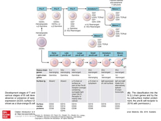 Introduction to immune system | PPTX