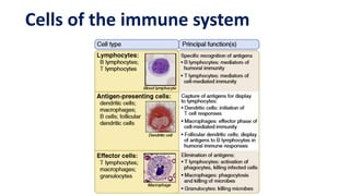 Introduction to immune system | PDF