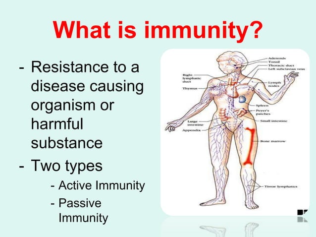 Introduction to immunity | PPTX | Infectious Diseases | Diseases and ...